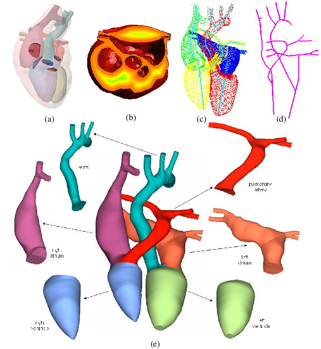 Improving heart modeling - ECG-Excellence